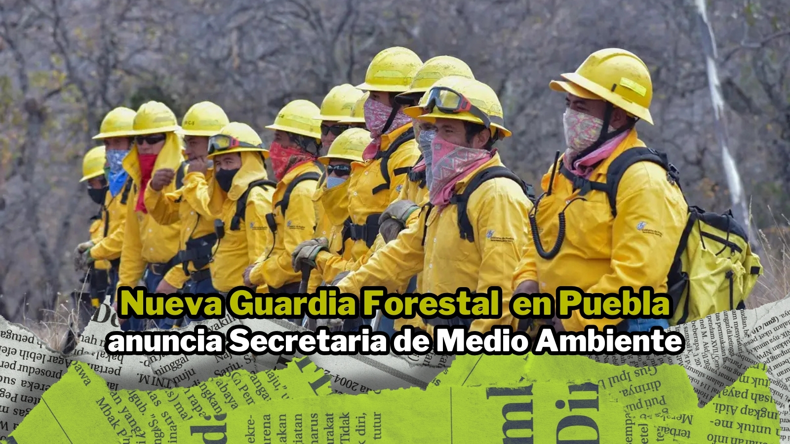 La Guardia Forestal de Puebla: Un nuevo esfuerzo para prevenir ...